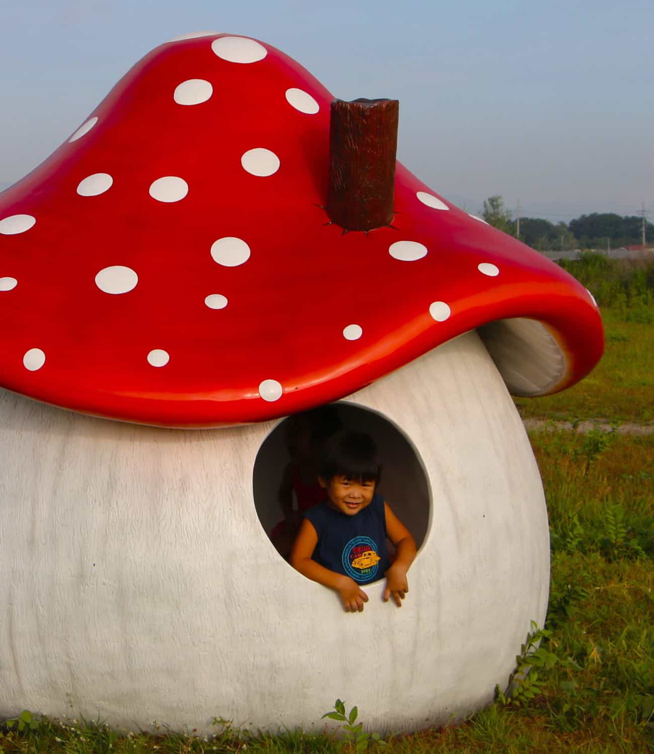 Mushroom Playhouse – Jungle Play