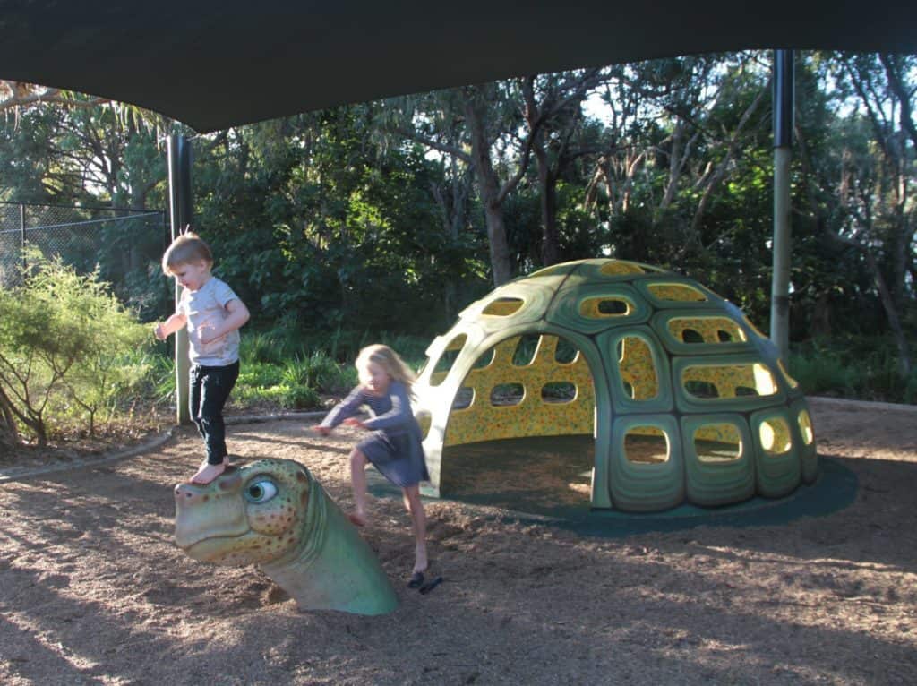 Turtle Cubby Climber – Jungle Play